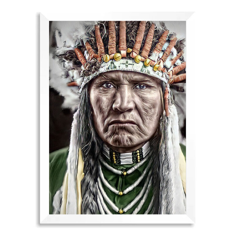 Quadro Índio Nativo Americano Face Visual Cocar - Quadro Decoração